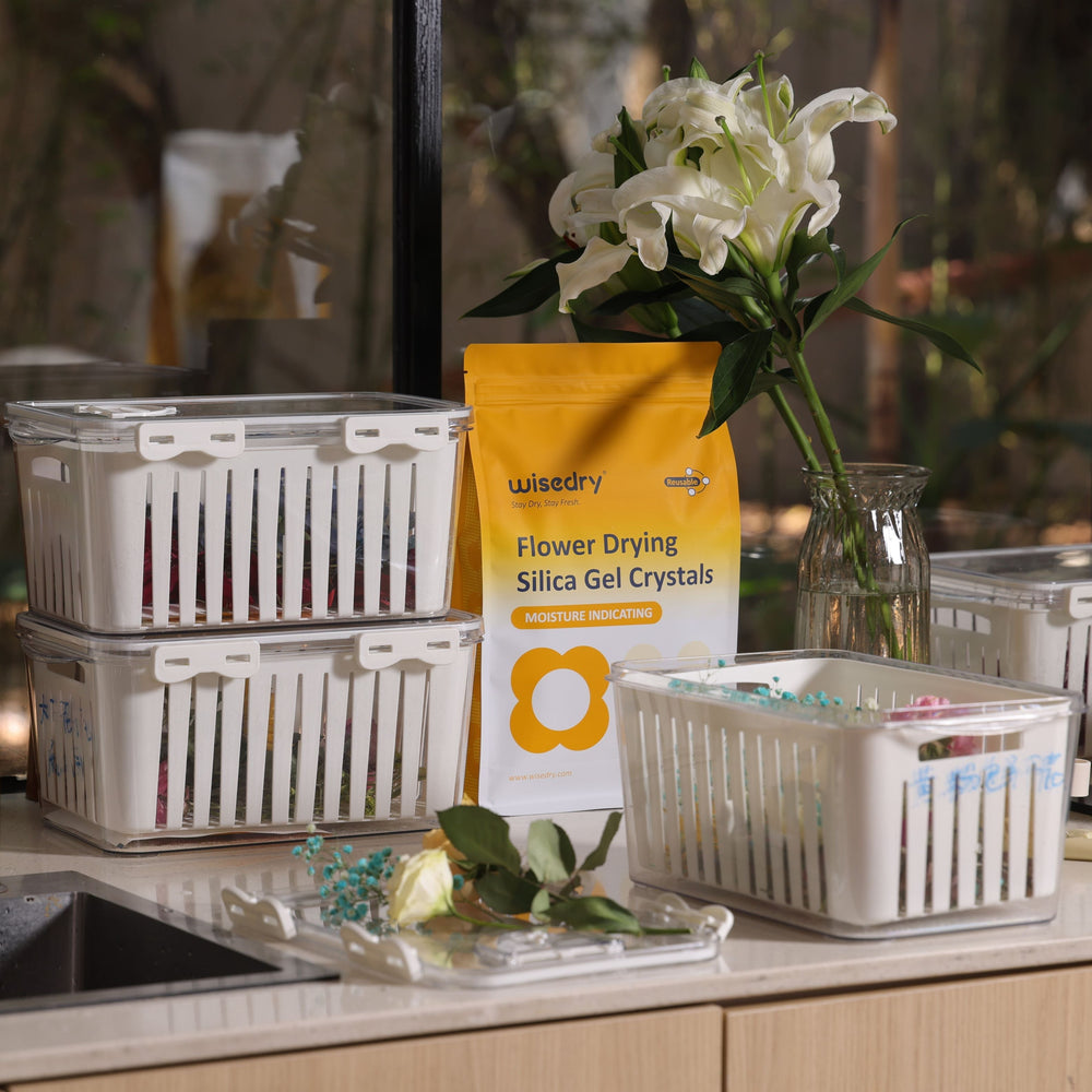 wisedry: The World's Leading & Trusted Desiccant Brand – Wisedry