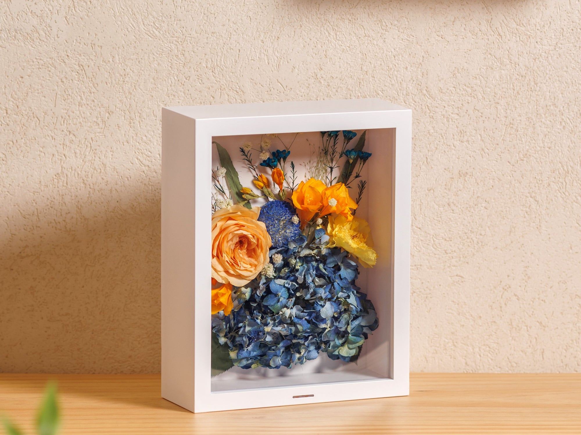 wisedry: The World's Leading & Trusted Desiccant Brand – Wisedry